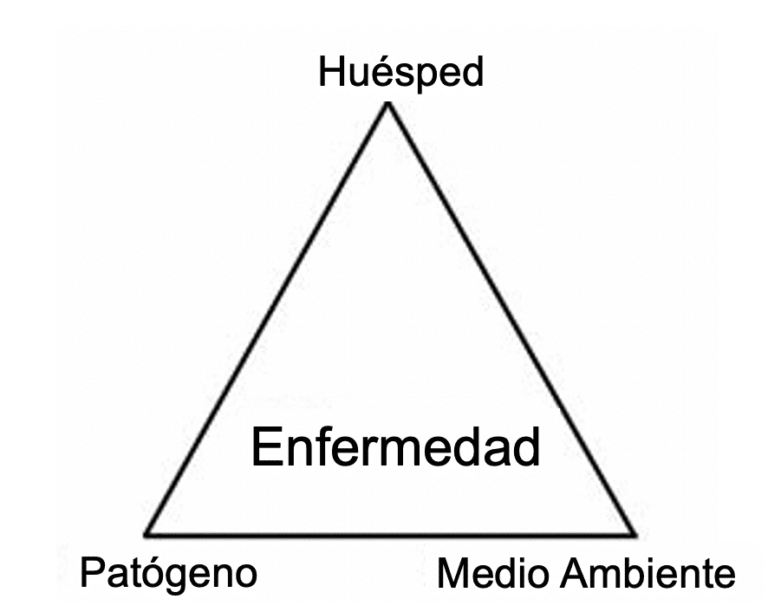 DEL TRIÁNGULO DE LA ENFERMEDAD AL TRIÁNGULO DE LA PUBLICIDAD ...